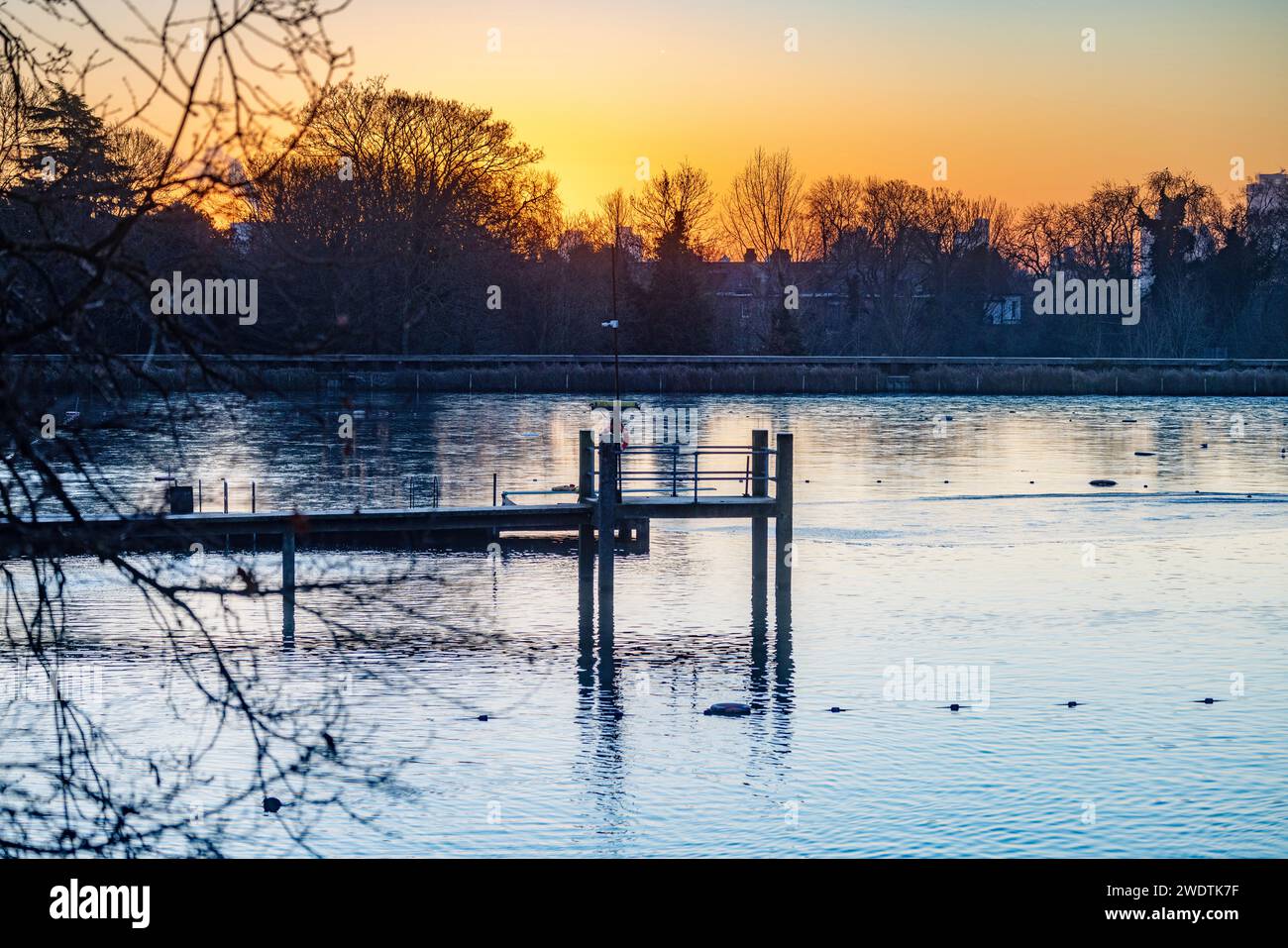 Highgate pond swimming hi-res stock photography and images - Alamy