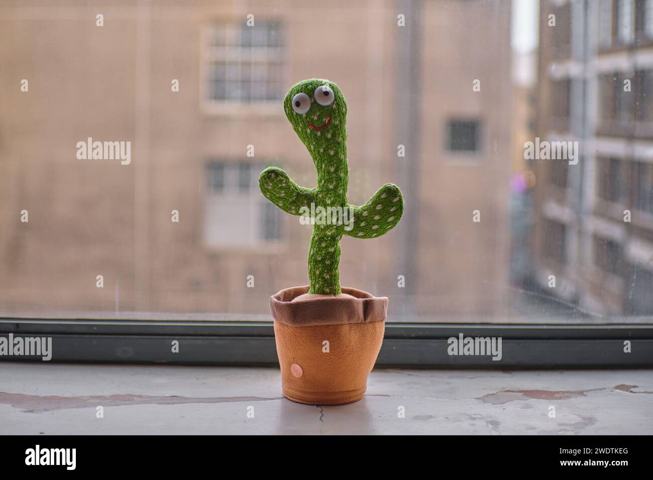 Cactus toy hi-res stock photography and images - Alamy