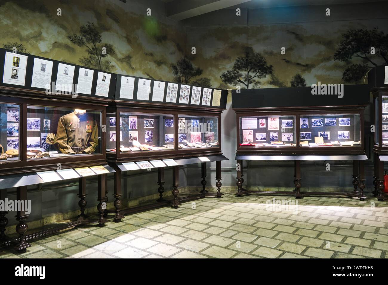 A gallery, room with cases filled with Great Patriotic War, World War ...
