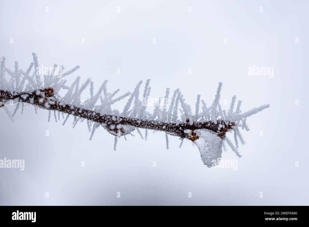 Beautiful hoarfrost and rime hi-res stock photography and images - Alamy