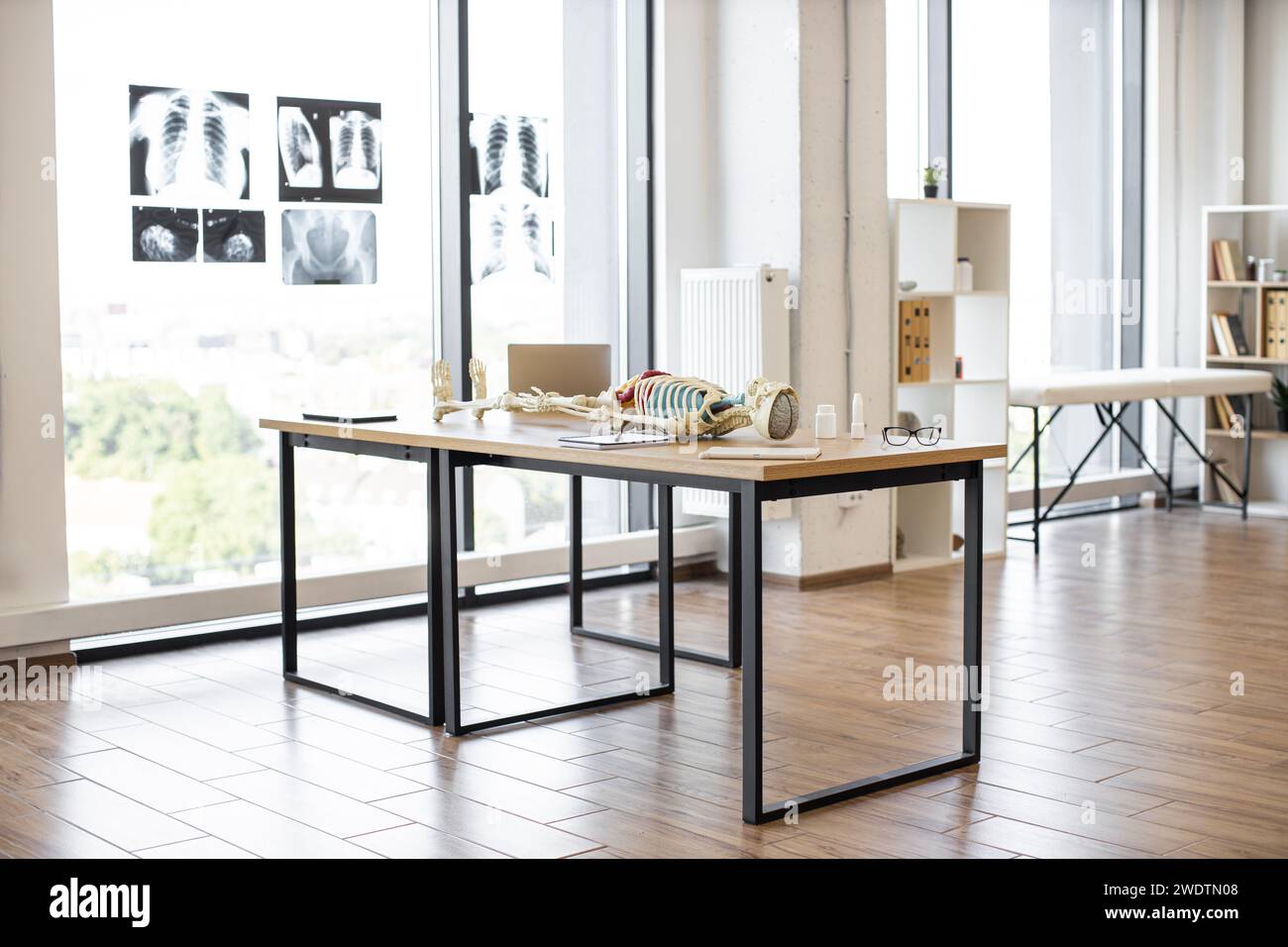 Model of a variety of human body parts in doctor office Stock Photo - Alamy