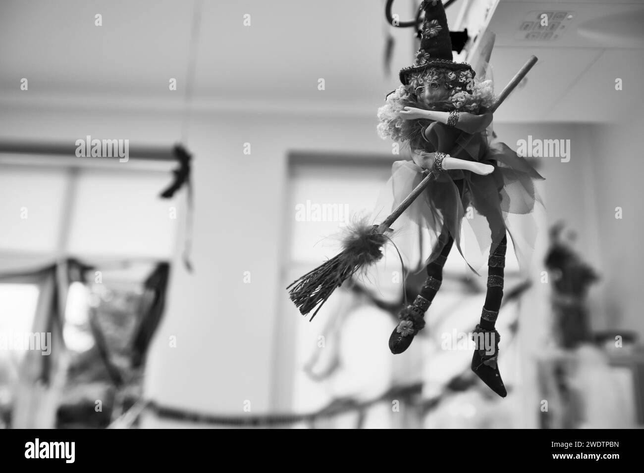 halloween at school, skeleton spider web. High quality photo Stock ...