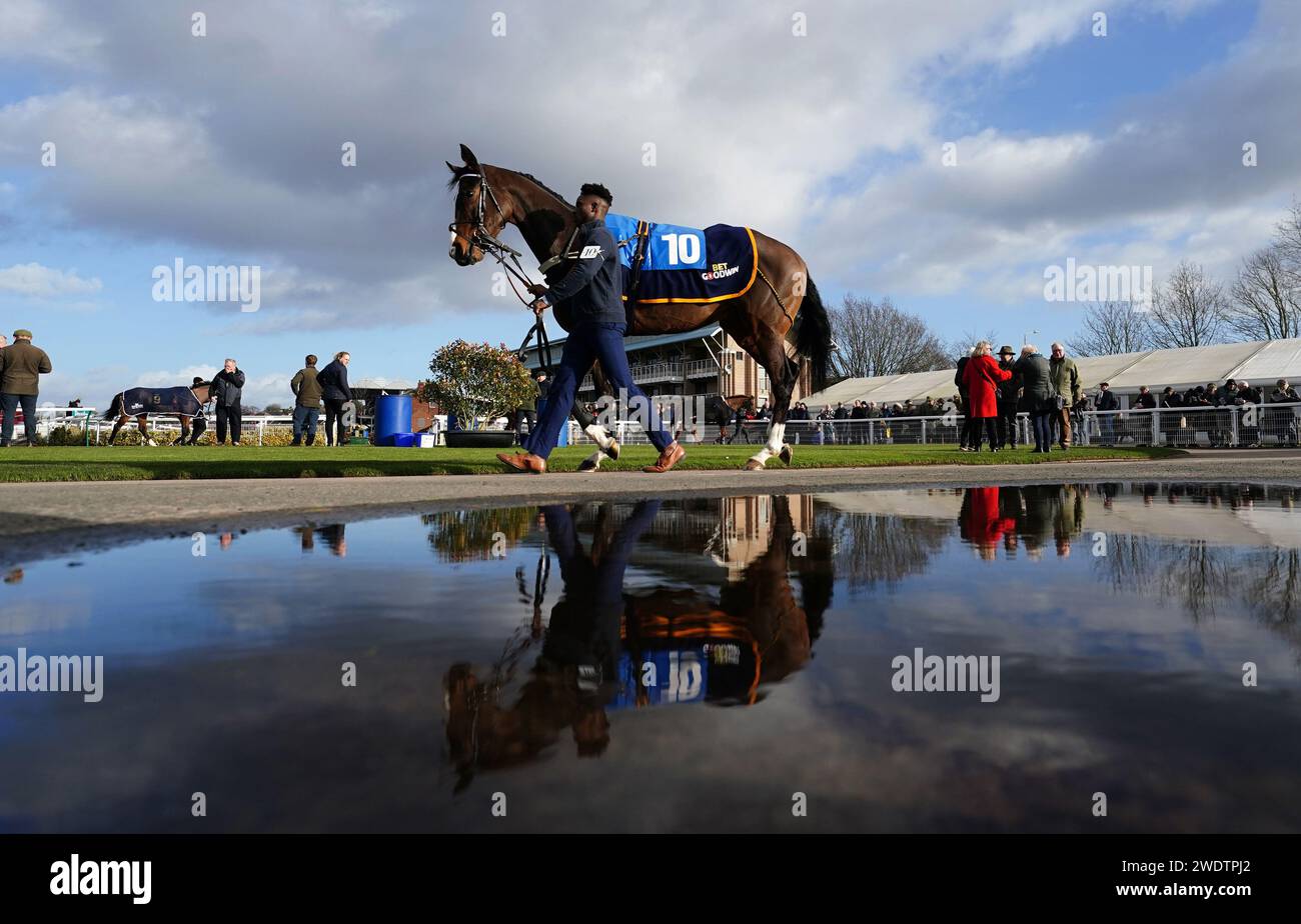 Horses in the parade ring before the Hazelton Mountford Insurance ...