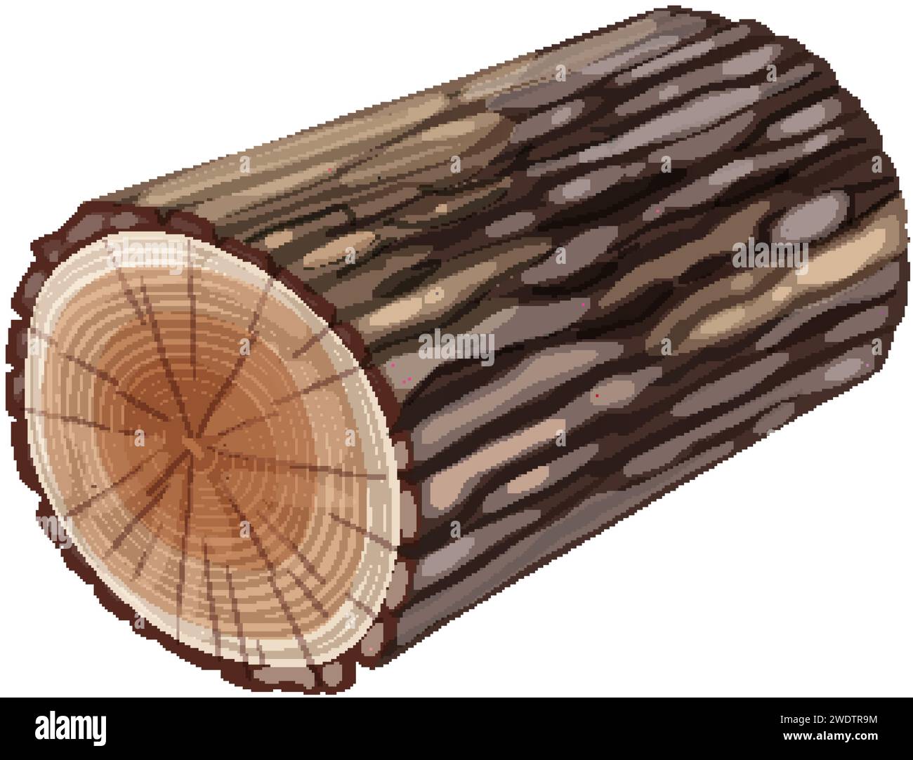 Realistic wooden log with detailed tree rings Stock Vector Image & Art ...