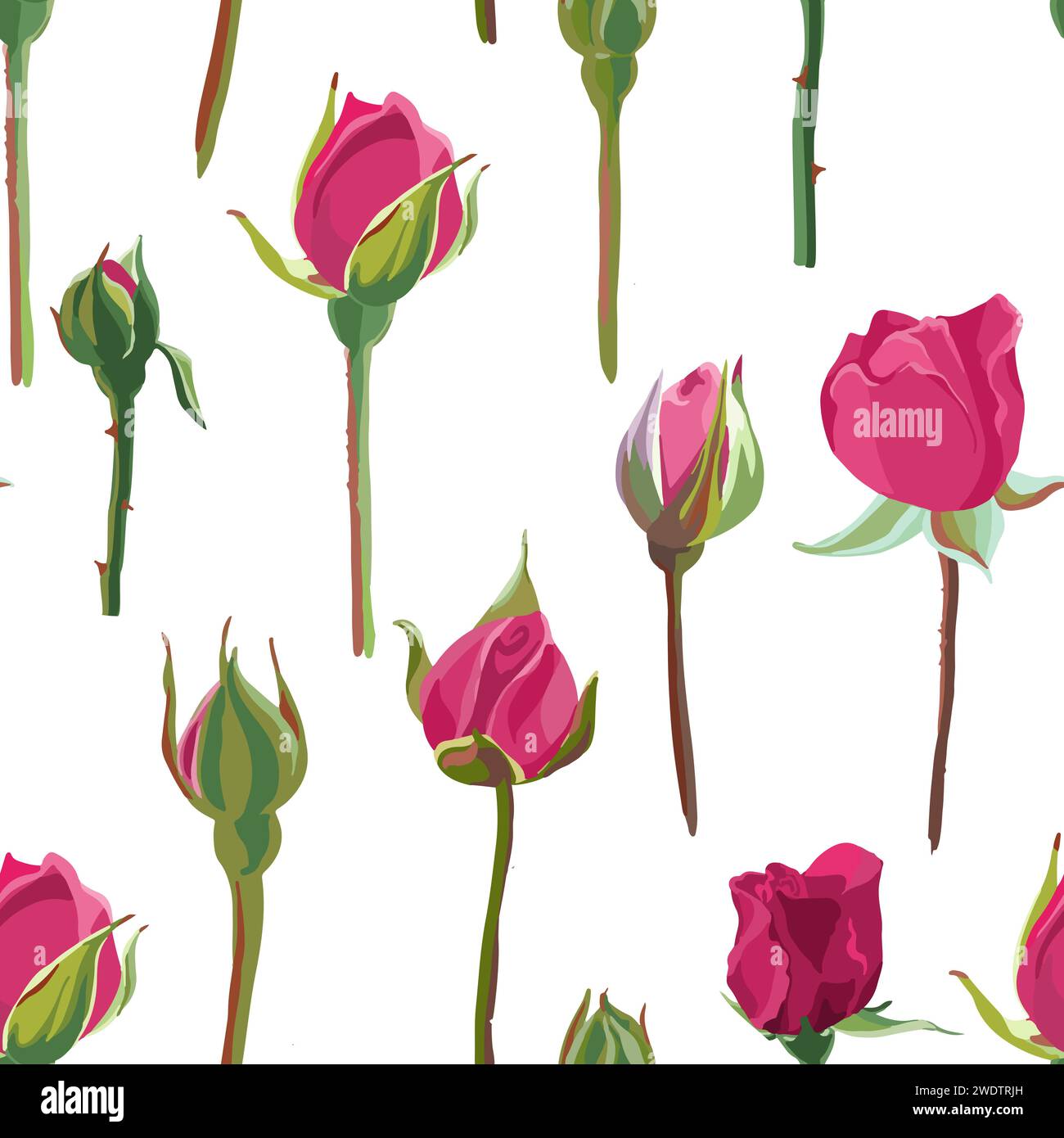 Rose flat lay Stock Vector Images - Alamy