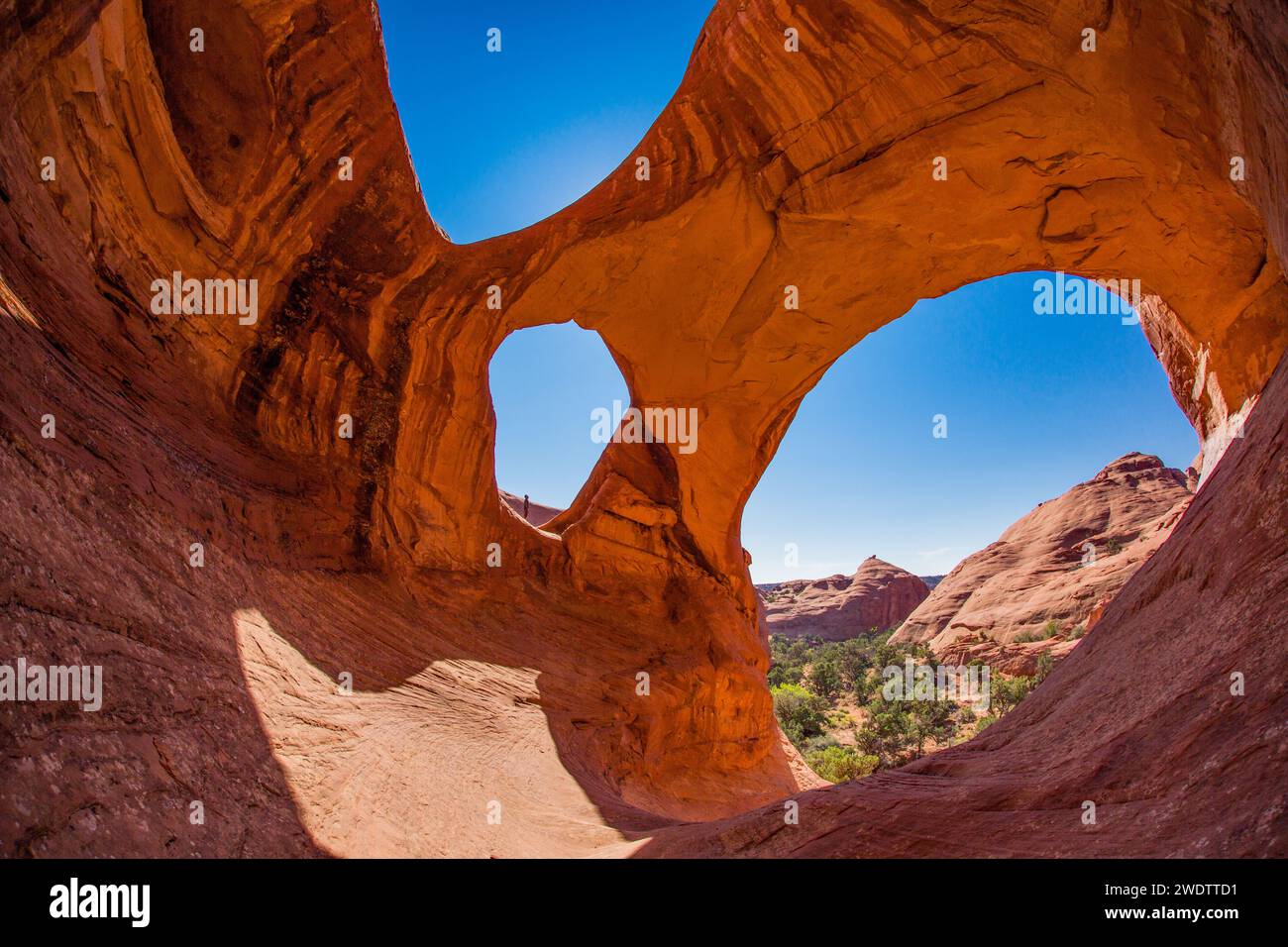 A Navajo guide stands in Spiderweb Arch, a large natural double arch in ...