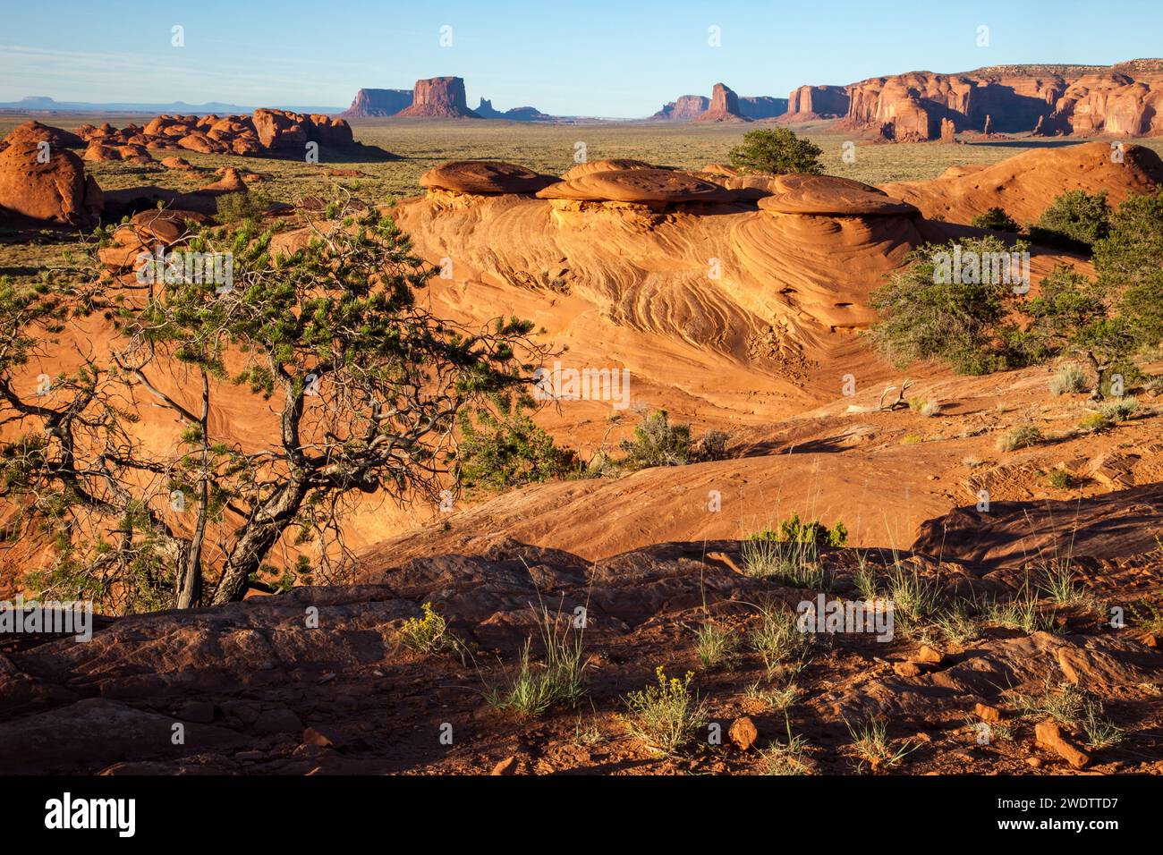 Cross-bedding patterns in the eroded sandstone in Mystery Valley in the ...
