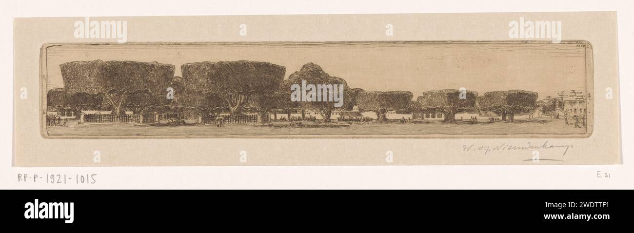 Waringin trees in the garden of the Palace of the Sultan in Jogyakarta ...