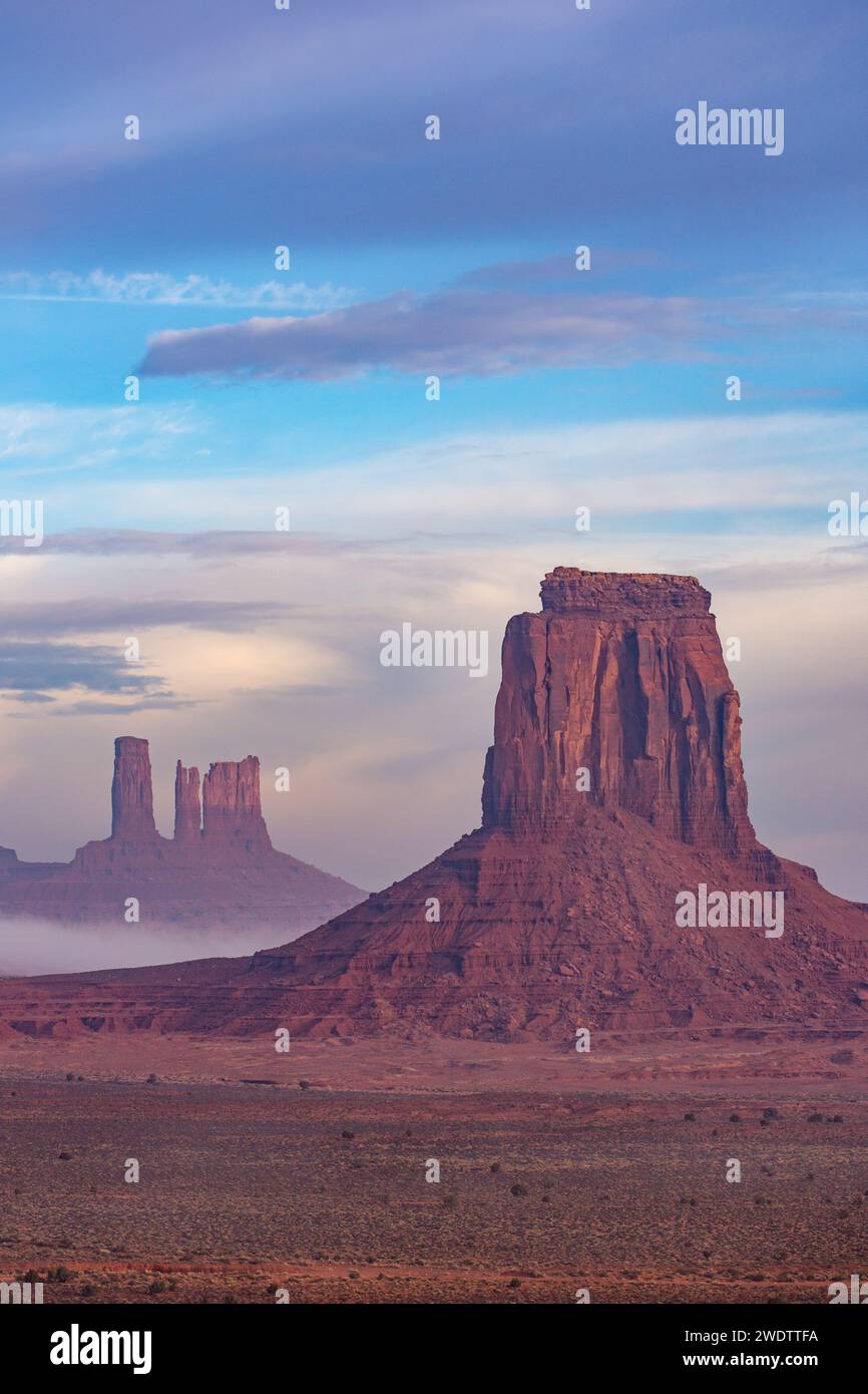 Rabbit sta hi-res stock photography and images - Alamy