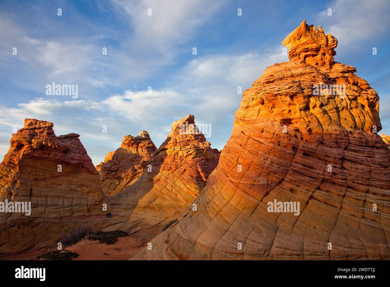 Sunset light on eroded Navajo sandstone formations in South Coyote ...