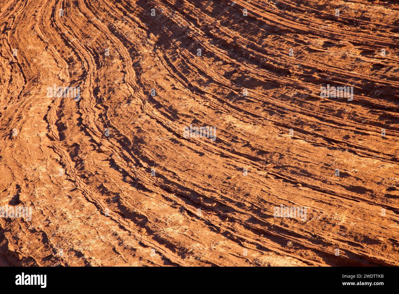 Micro fins in the eroded sandstone in Mystery Valley in the Monument ...
