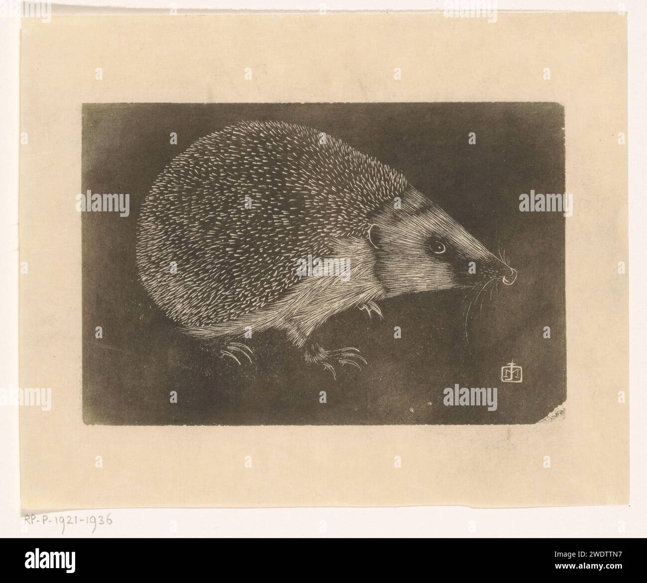 Egel, Jan Manks, 1916 print paper other mammals: hedgehog Stock Photo ...
