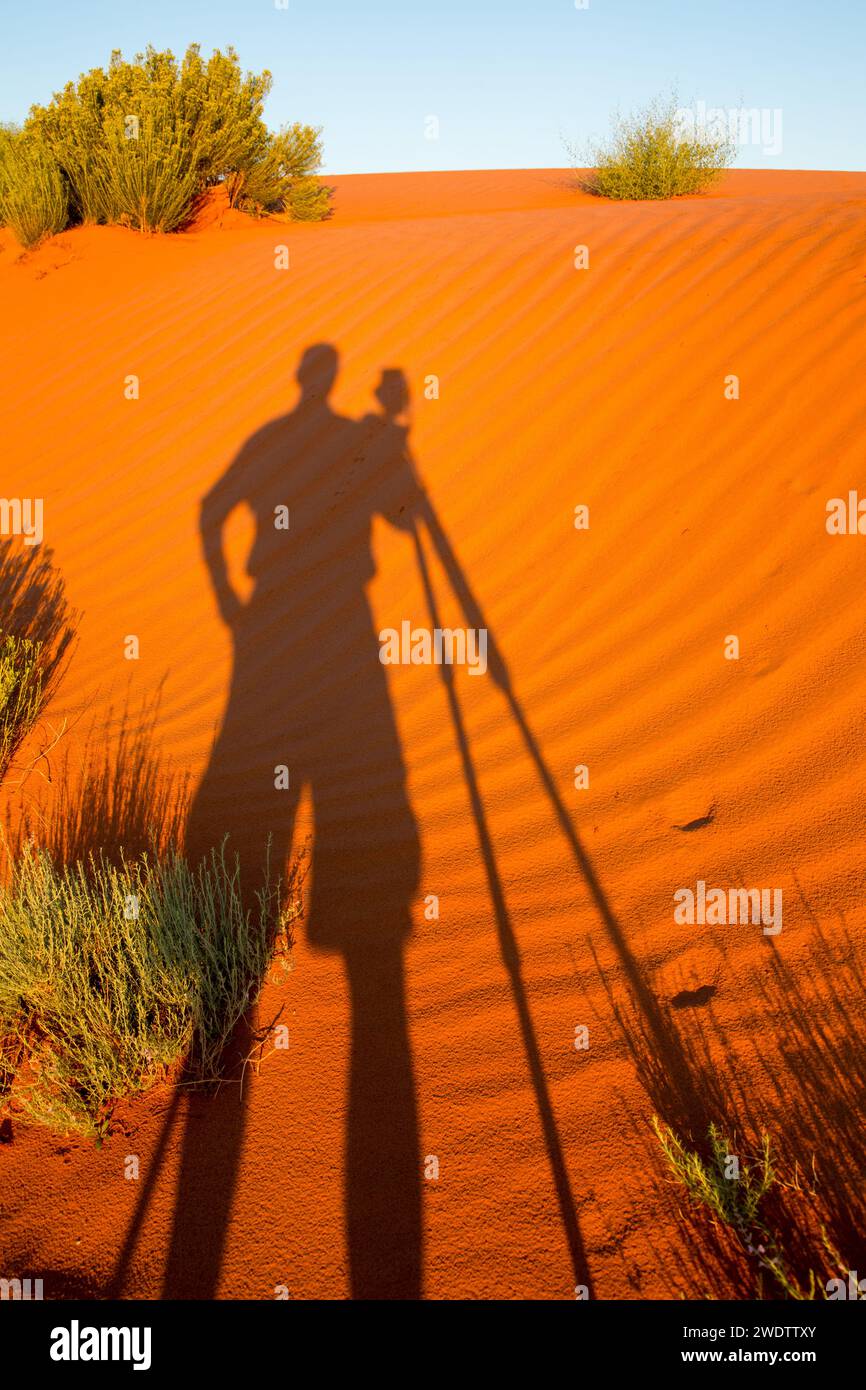 A tumbleweed in the rippled sand dunes in the Monument Valley Navajo ...