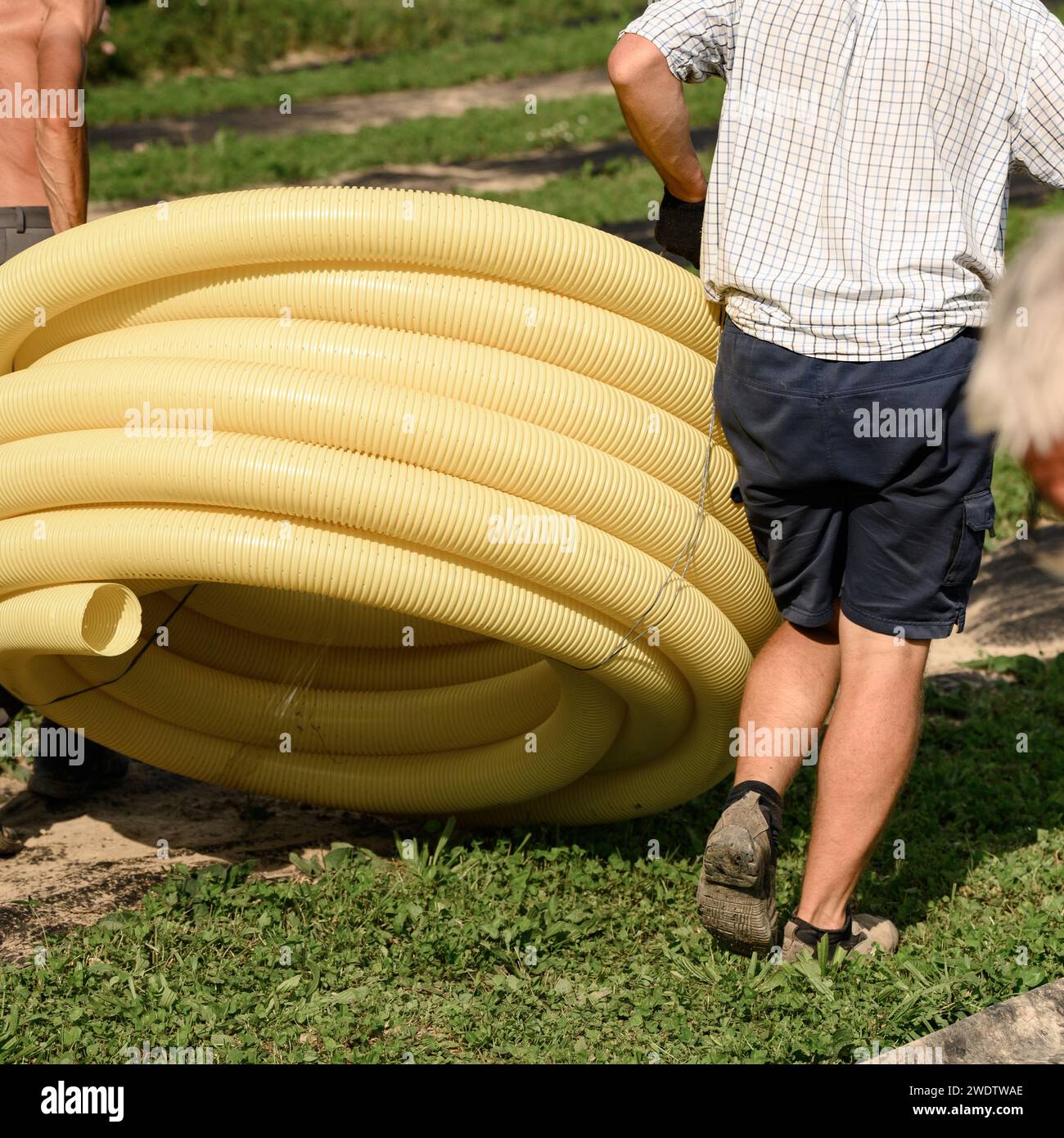 Workers carry a roll of yellow drainage pipe in their hands ...