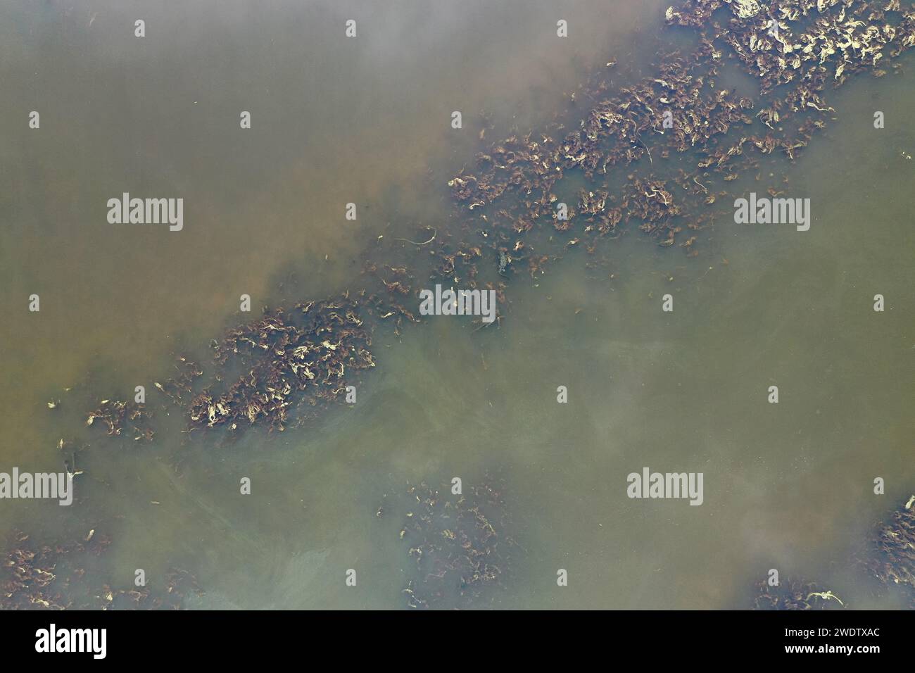 dirty water in modern lakes, ecology is dying. High quality photo Stock ...