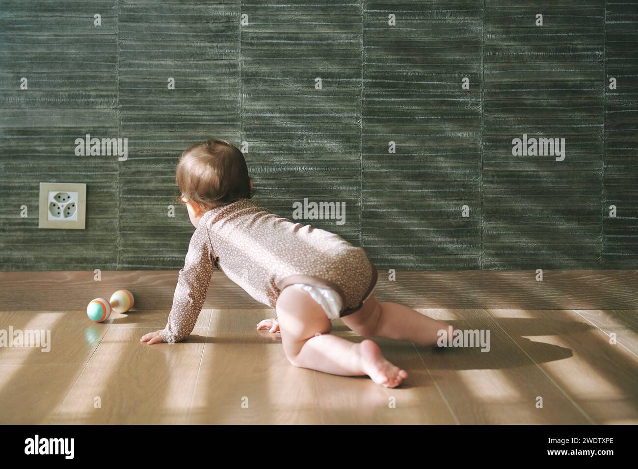 Back view of little baby looking at socket, home safety for young ...