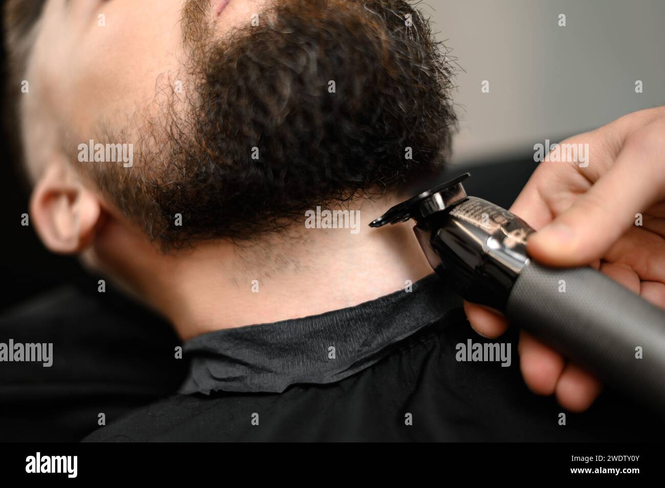A barber in the salon trims the beard of a Caucasian man with a trimmer ...