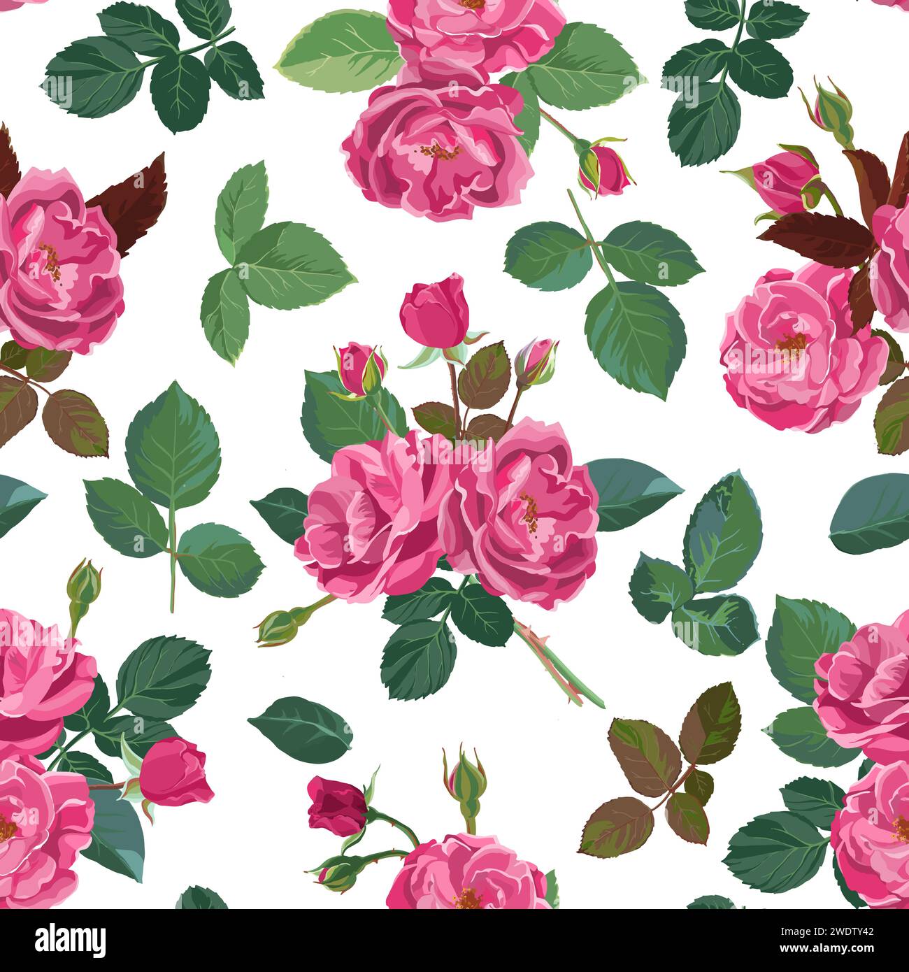 Roses top view Stock Vector Images - Alamy