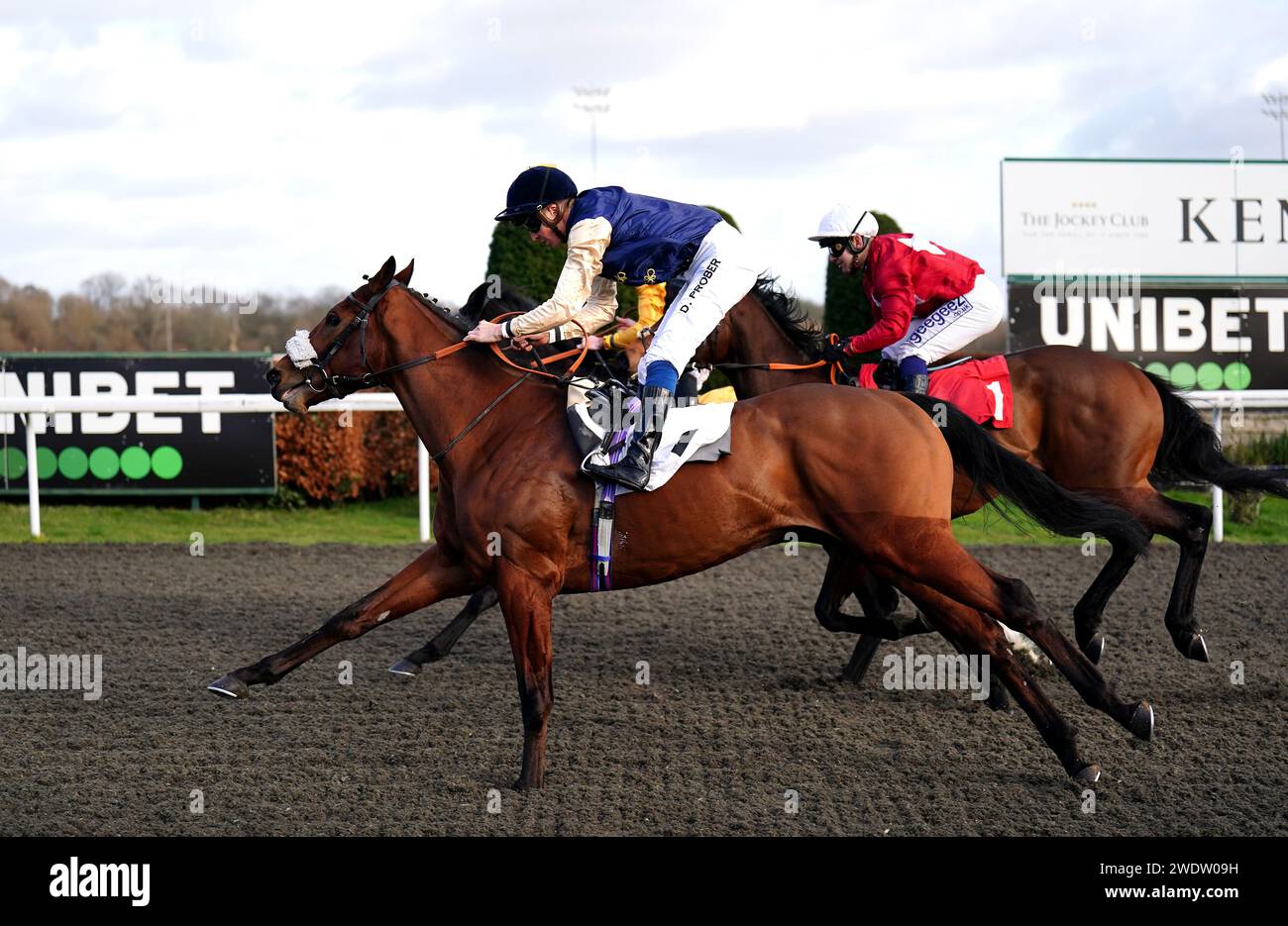 Arctic Thunder ridden by jockey David Probert (front) wins the Unibet ...