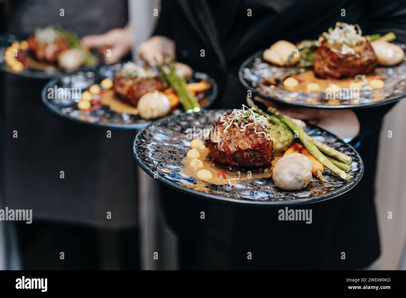 The plates filled with a diverse array of delectable cuisine Stock ...