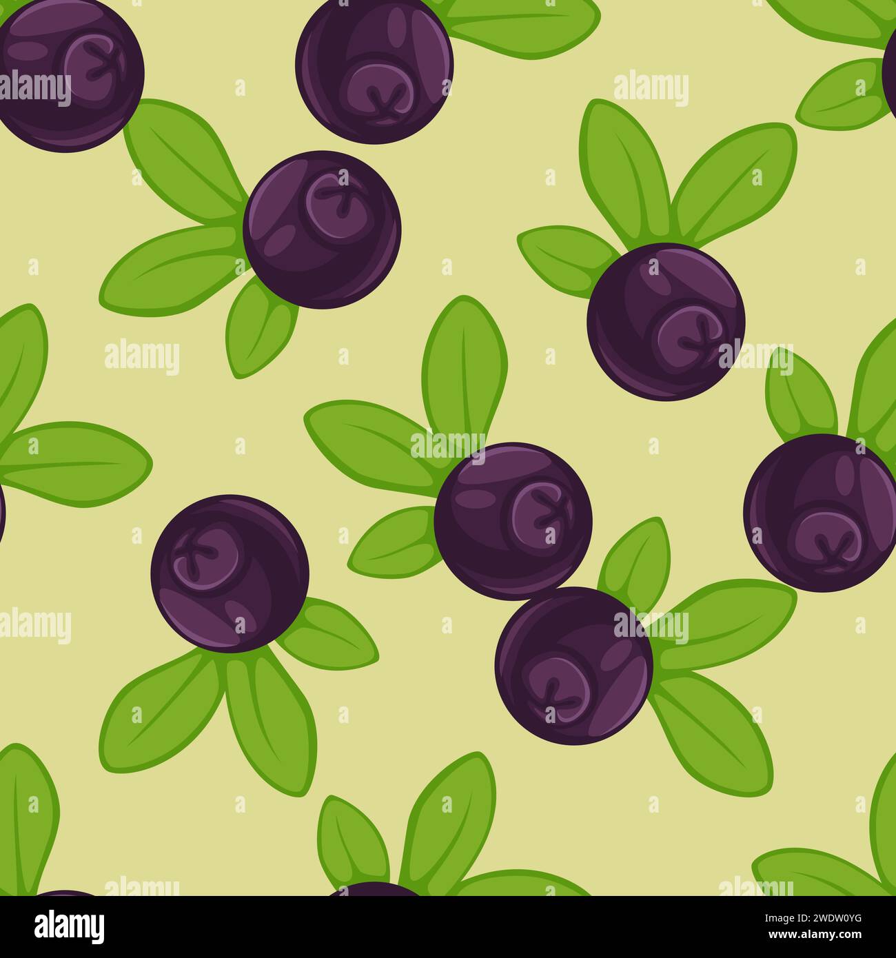 Vector blueberry seamless pattern hi-res stock photography and images ...