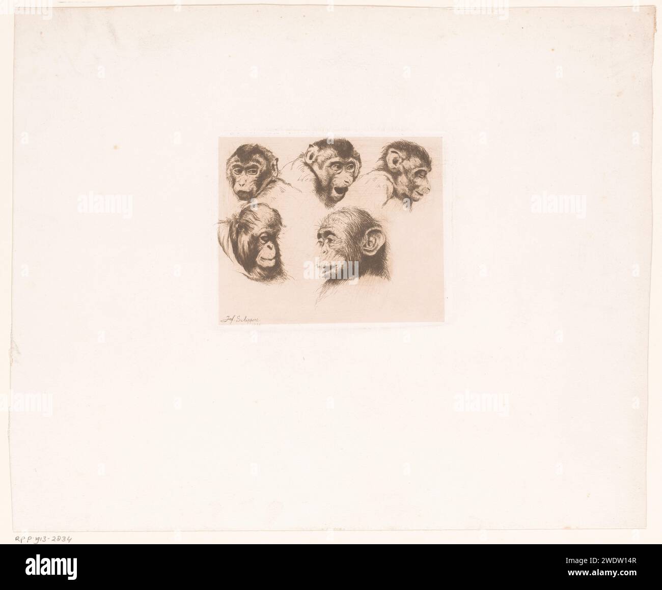 Joseph schippers hi-res stock photography and images - Alamy