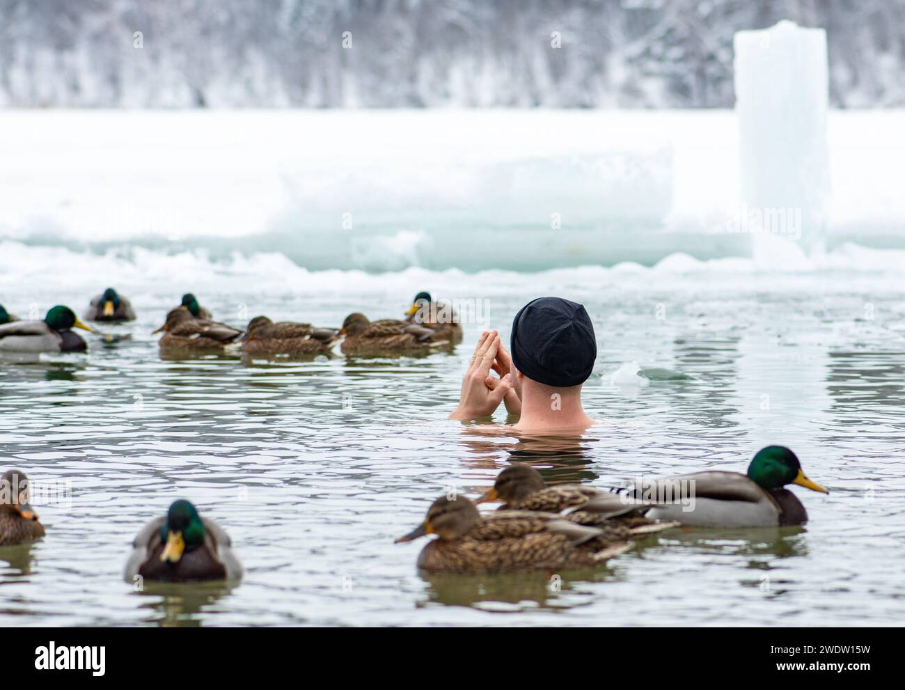 Boy or man with hat ice bathing in the freezing cold water of a frozen ...