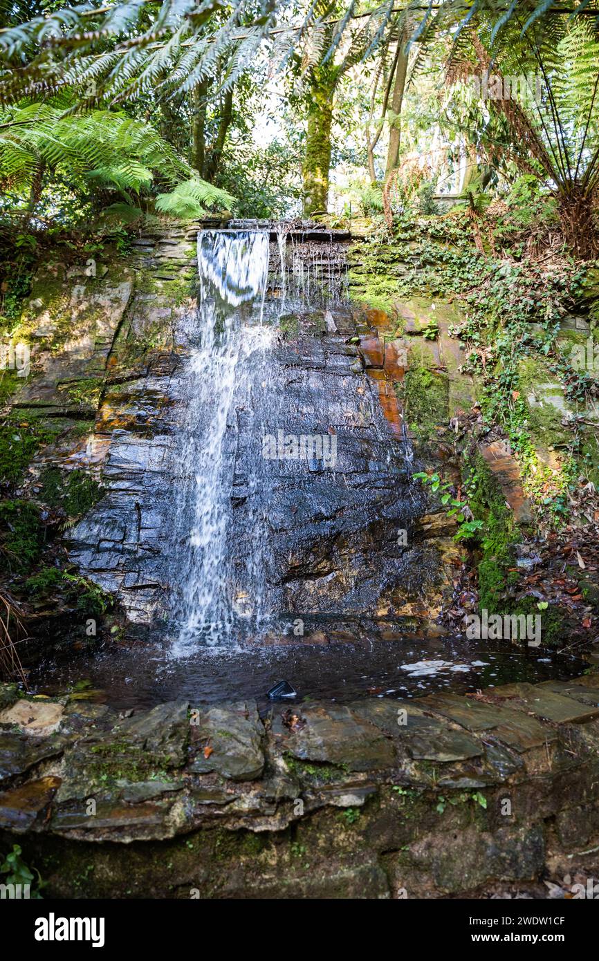 Small waterfall on a Sunny Winter's Day in Trebah Garden in Cornwall ...