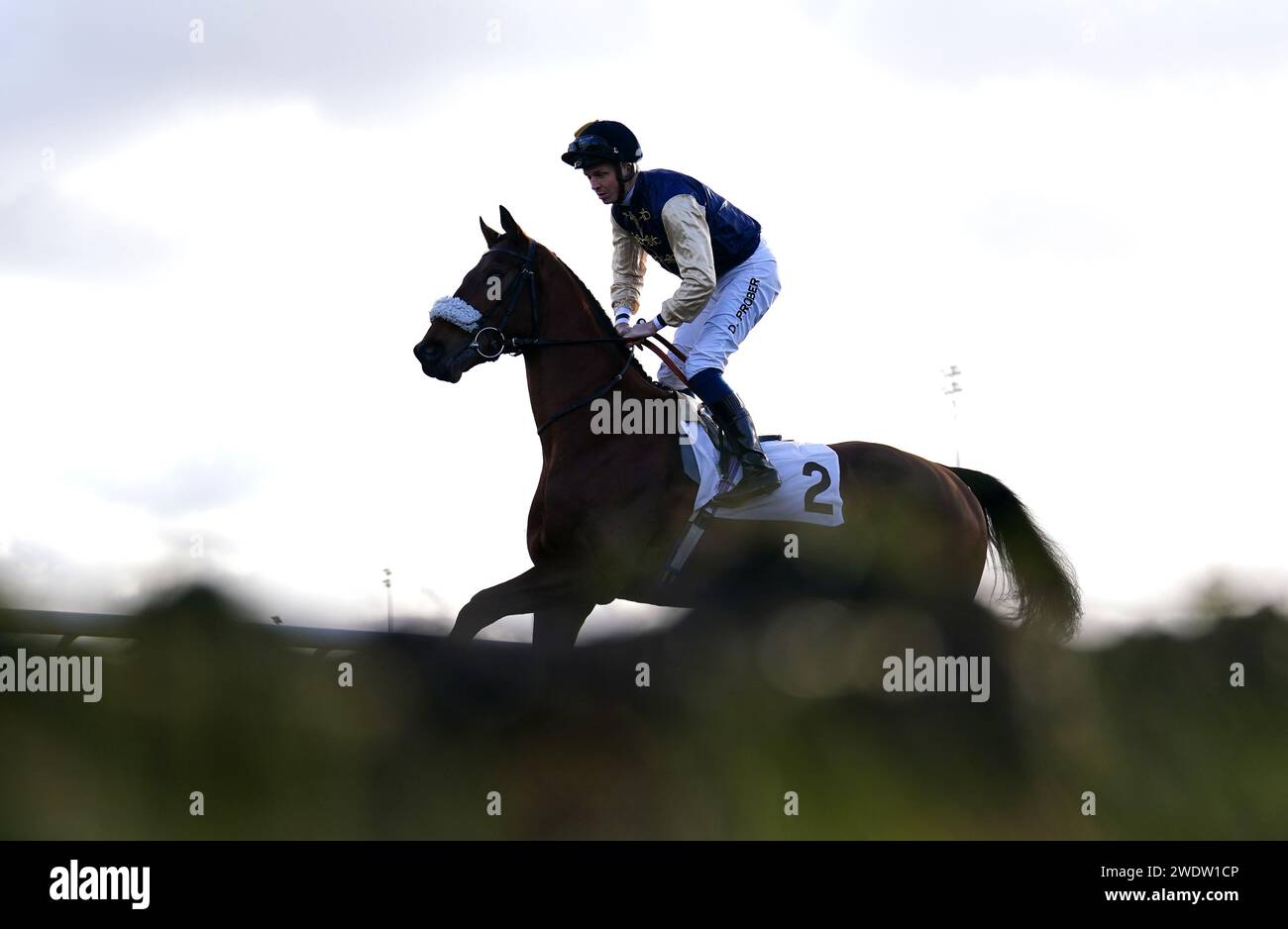 Arctic Thunder ridden by jockey David Probert ahead of the Unibet Zero ...