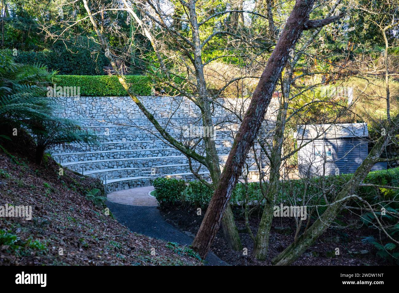 Trebah garden amphitheatre hi-res stock photography and images - Alamy