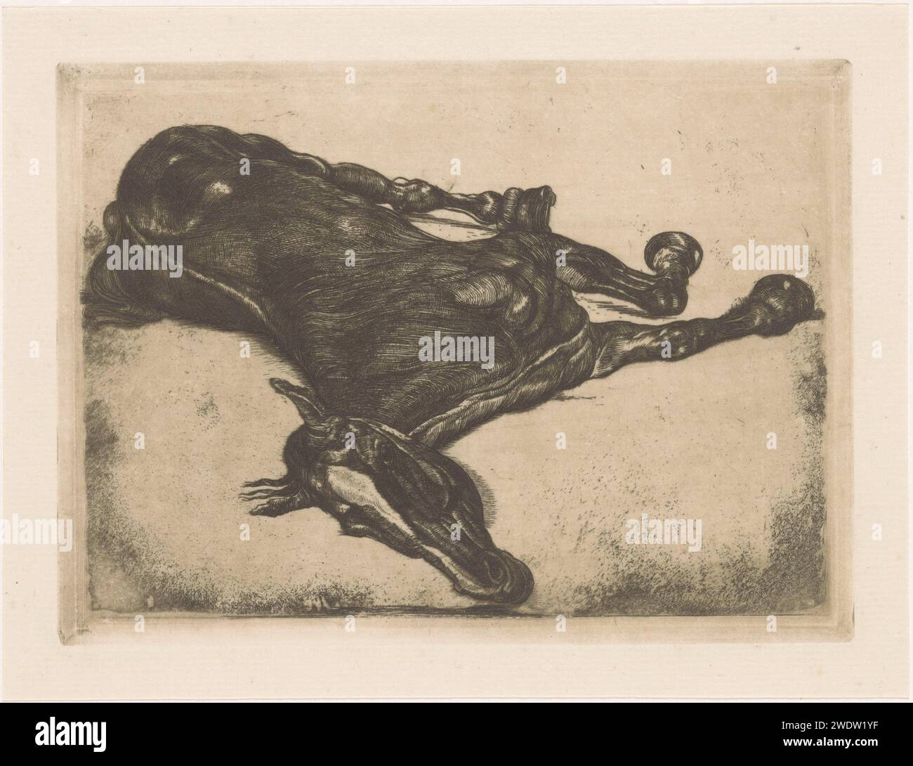 Death horse, Pieter Dupont, 1900 print Paris paper etching horses and ...