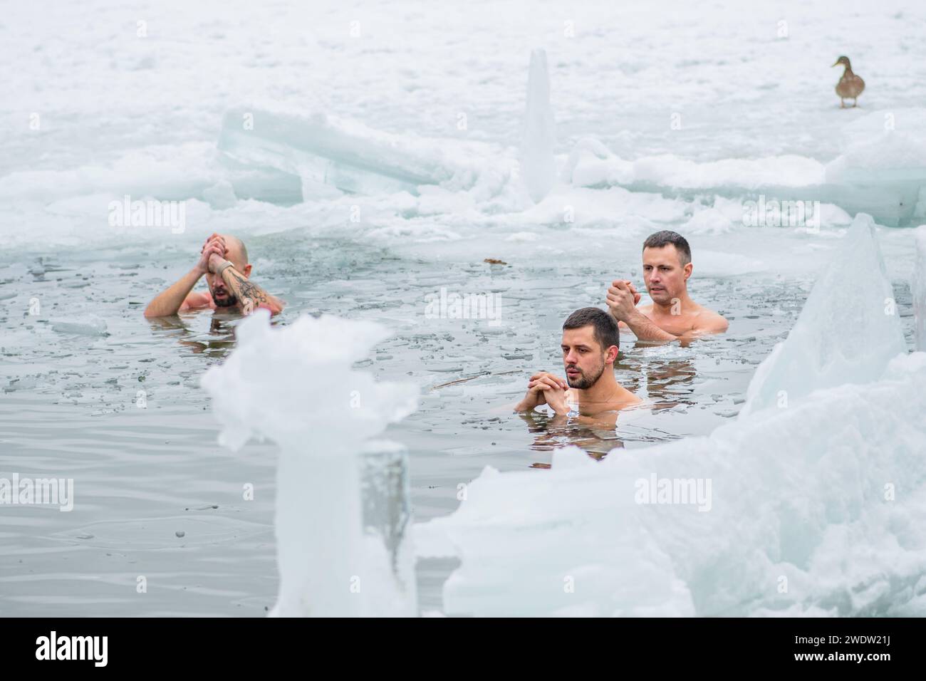 Group of boys or men ice bathing in the freezing cold water of a frozen ...
