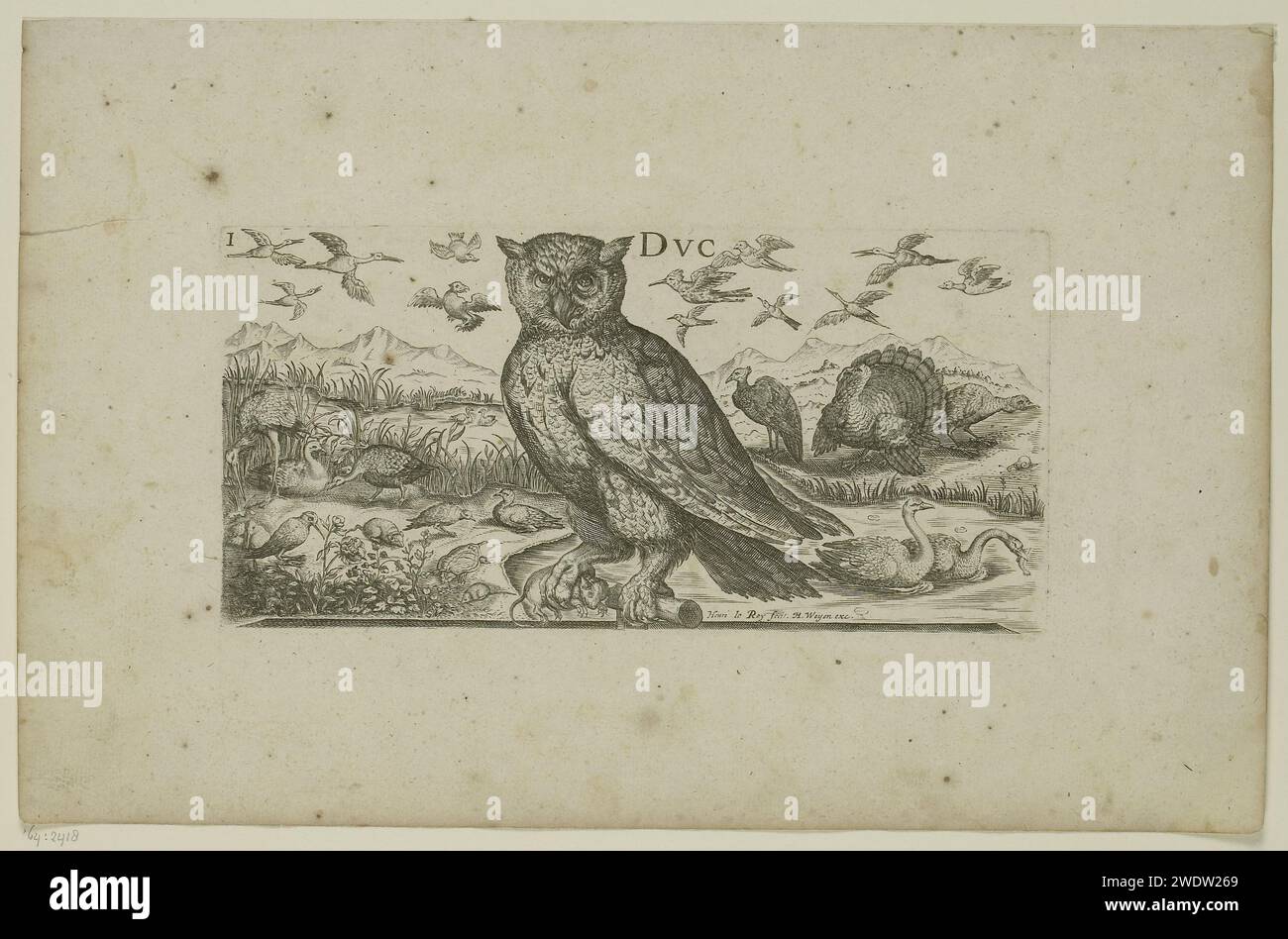 Uil design hi-res stock photography and images - Alamy