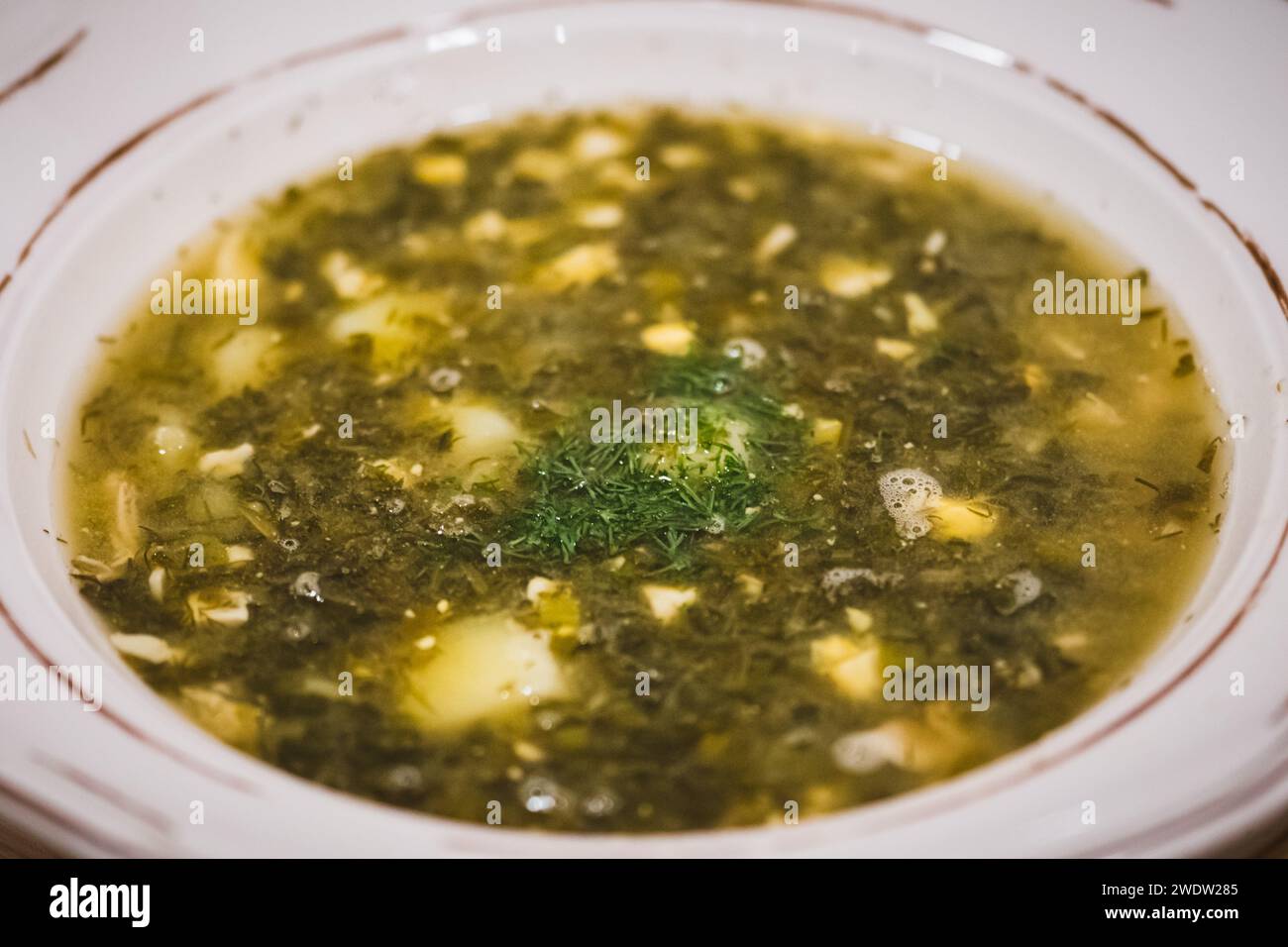 Sorrel leaves hi-res stock photography and images - Alamy