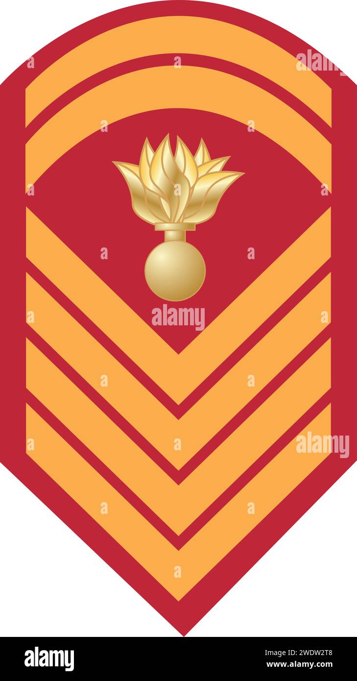 Shoulder pad military officer insignia of the Greece MONIMOS ...