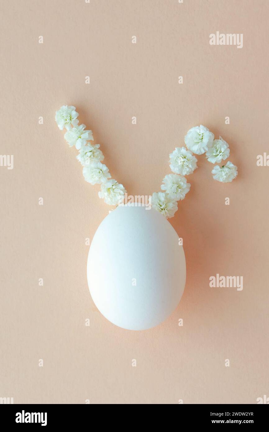 vertical photo of a top view of a white egg with ears like the Easter ...
