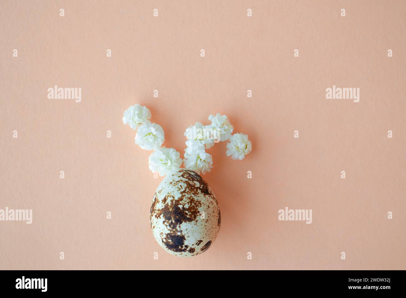 Top view of a quail egg with ears like the Easter bunny made of white ...