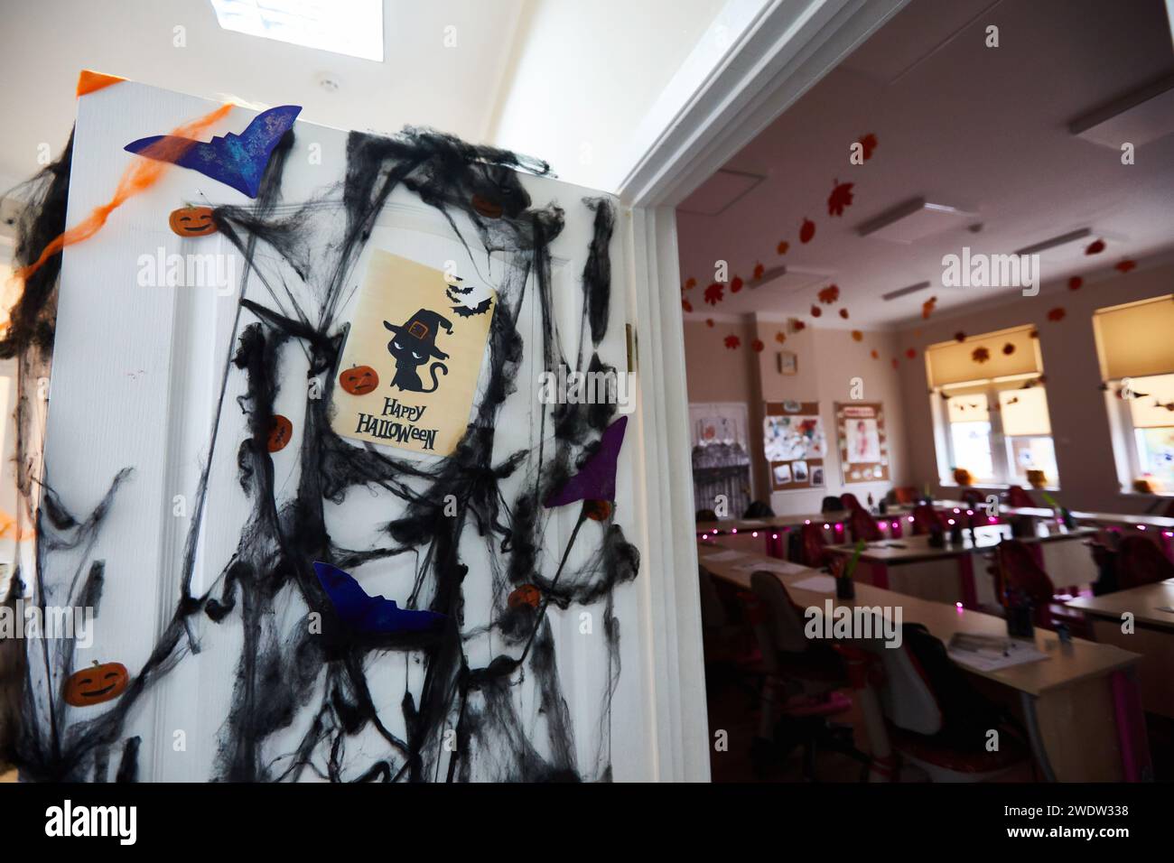 halloween at school, skeleton spider web. High quality photo Stock ...