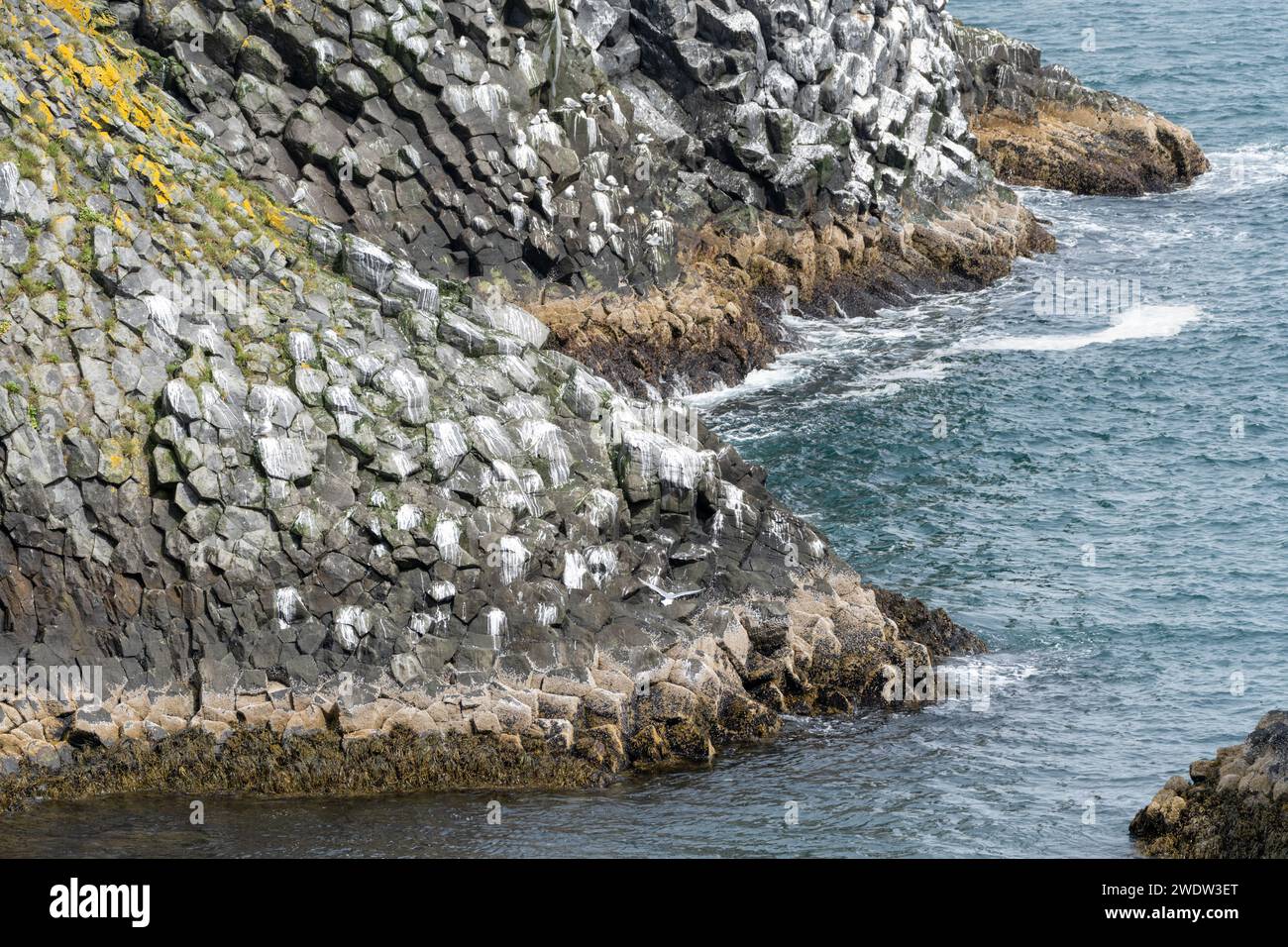 Basalt cliffs along the rugged shoreline of Arnarstapi Iceland Stock ...