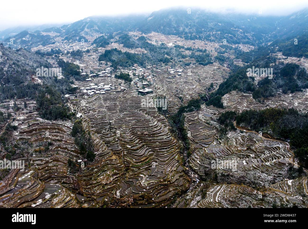 Guangxi, China. 22nd Jan, 2024. GUANGXI, CHINA - JANUARY 22, 2024 ...