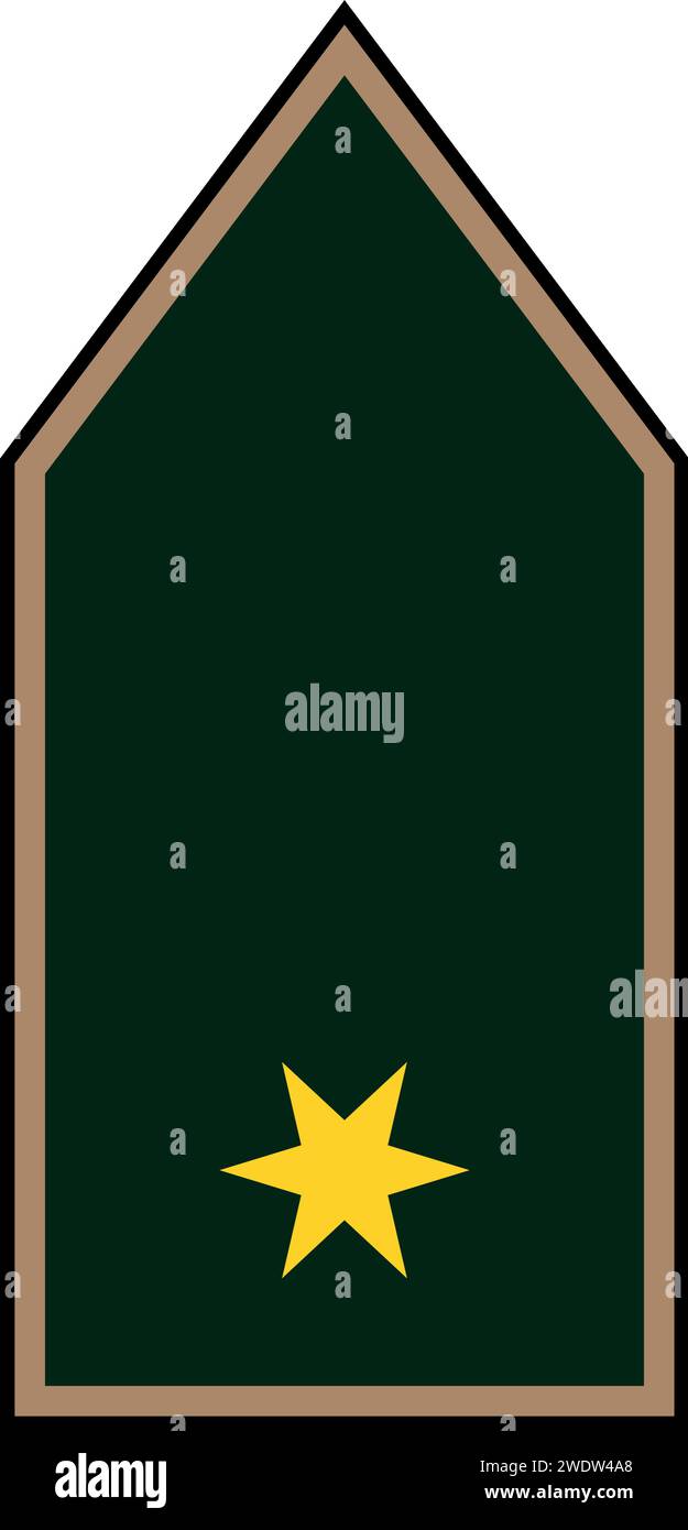 Shoulder pad military officer insignia of the Hungary HADNAGY (SECOND ...