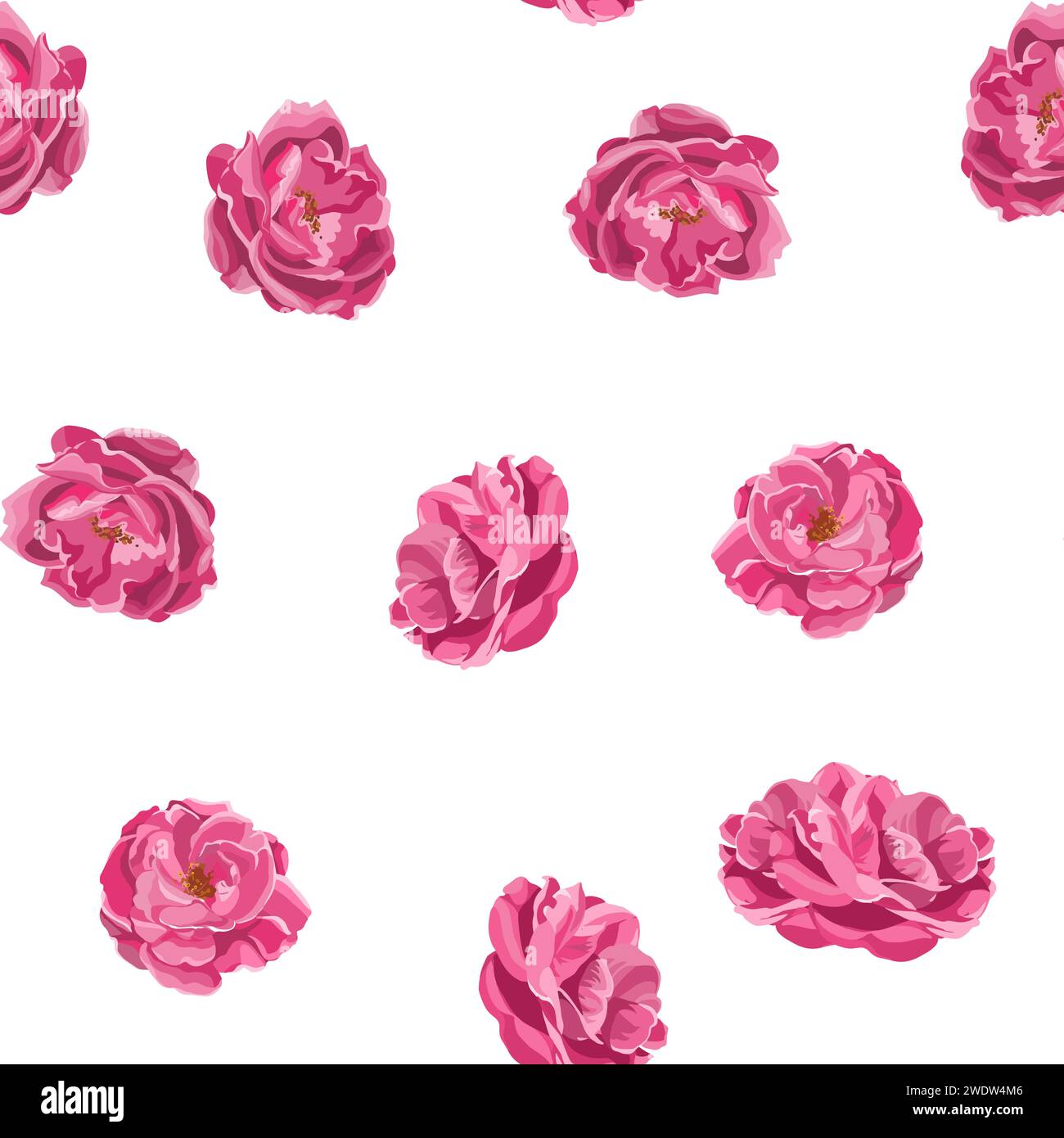 Flat lay feminine composition Stock Vector Images - Alamy