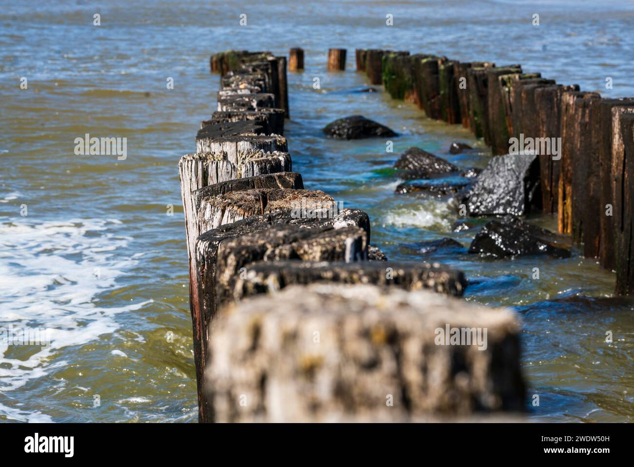 Captivating structure hi-res stock photography and images - Alamy