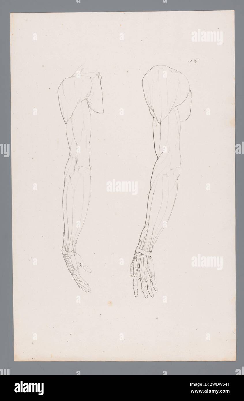 Two anatomies of an arm, L. Tilger, 1828 - 1830 print Part of a cover ...