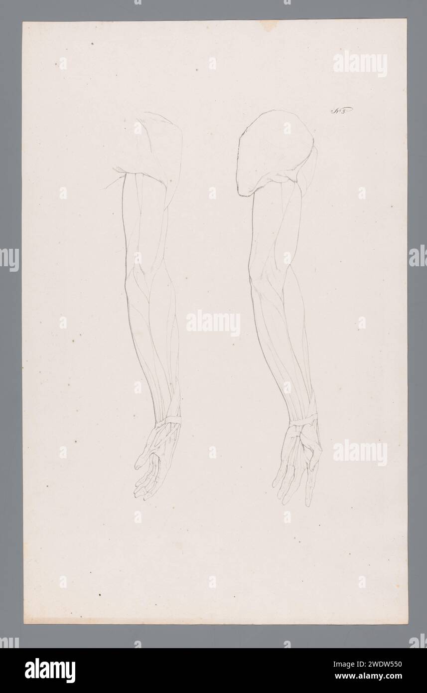 Two anatomies of an arm, L. Tilger, 1828 - 1830 print Part of a cover ...