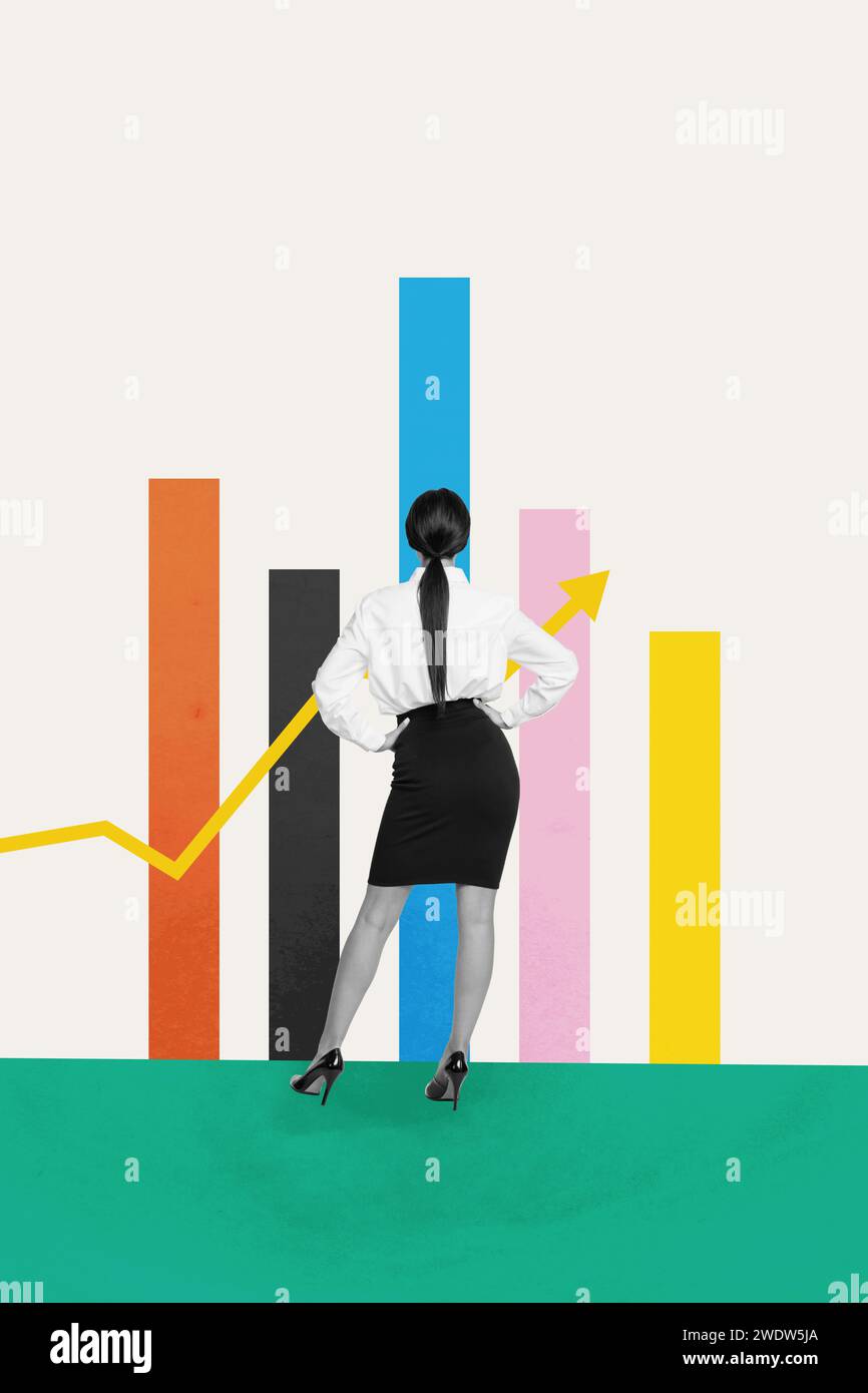 Collage artwork image of successful professional lady looking analyzing ...