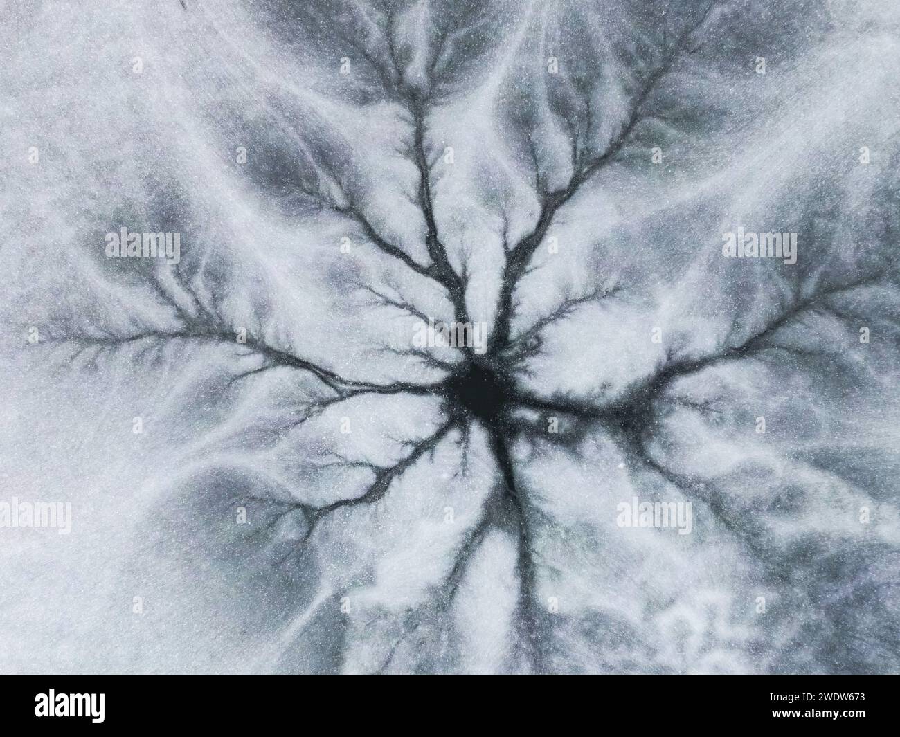 Treplin, Germany. 22nd Jan, 2024. Cracks appear in the ice of Lake ...