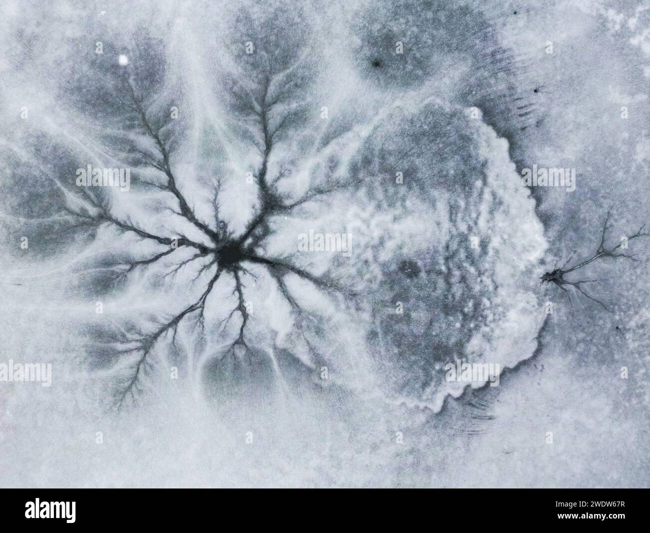 Treplin, Germany. 22nd Jan, 2024. Cracks appear in the ice of Lake ...