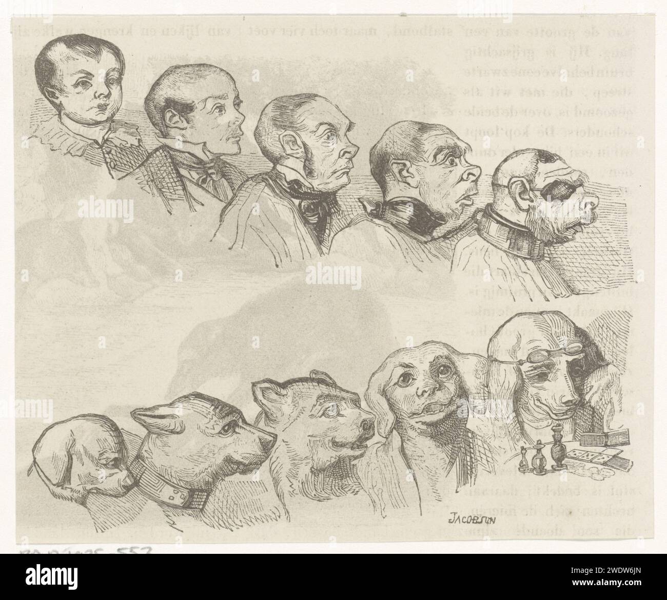 Desire nathan jacobson hi-res stock photography and images - Alamy