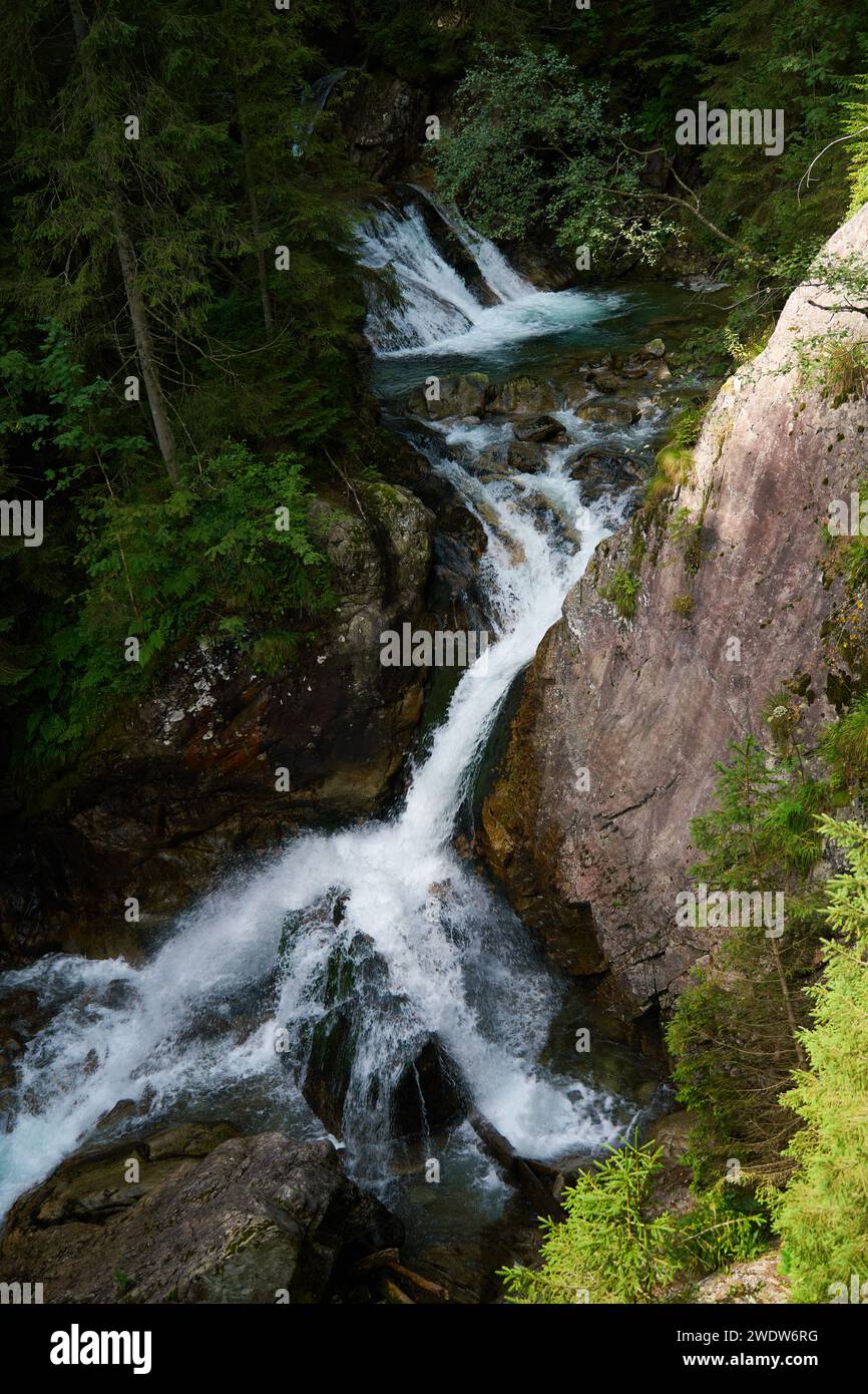 Mountain river in forest. Flowing river with rapids in rocks among ...